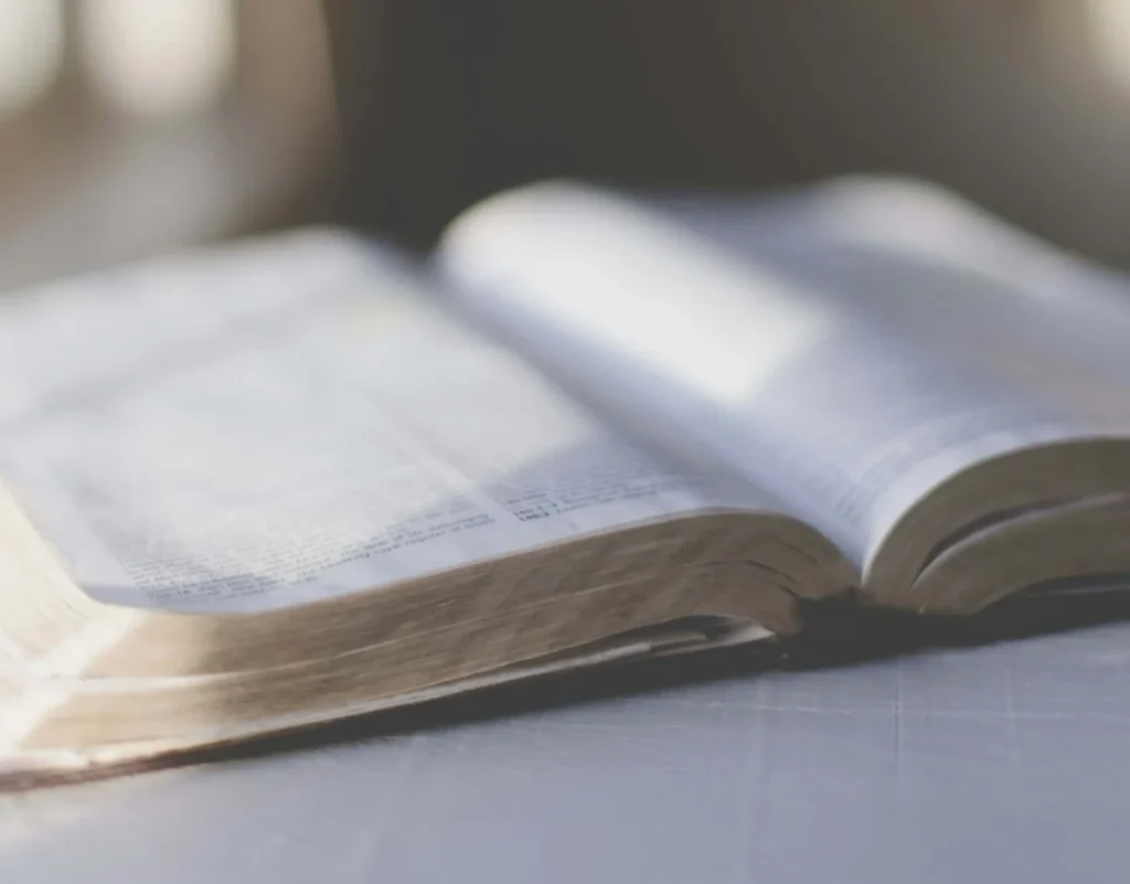 I Samuel 1 | NVI | Portal da Bíblia